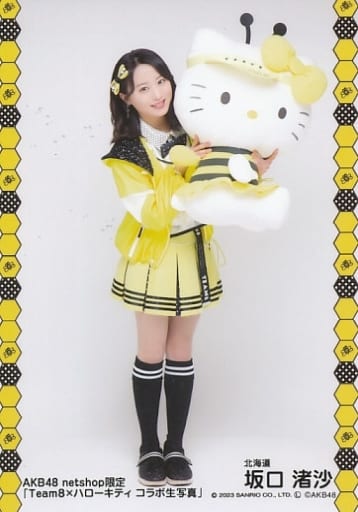 Official photo (AKB48, SKE48) / idol / AKB48 Sakaguchi 渚沙 / Whole body / AKB48 Team 8 x Hello ...