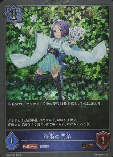 Shadowverse Evolv / BR / Follower / Booster Pack 6th "Absolute Conqueror" BP06-P15 [BR] : A ...