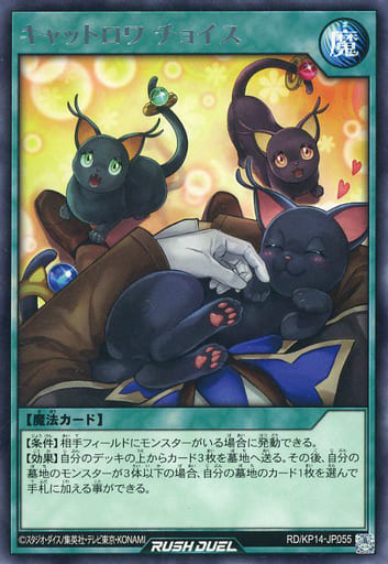 RD/KP14-JP055 [R] : Caterower Choice | Toy Hobby | Suruga-ya.com