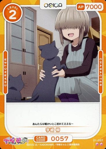 駿河屋 - 01-057[N]：宇崎 柳（OSICA（オシカ））