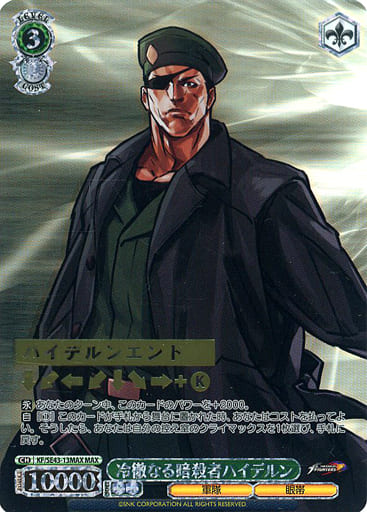 KF/SE43-13MAX [MAX] : (Holo) The Cold Assassin Heiderun | Toy Hobby ...