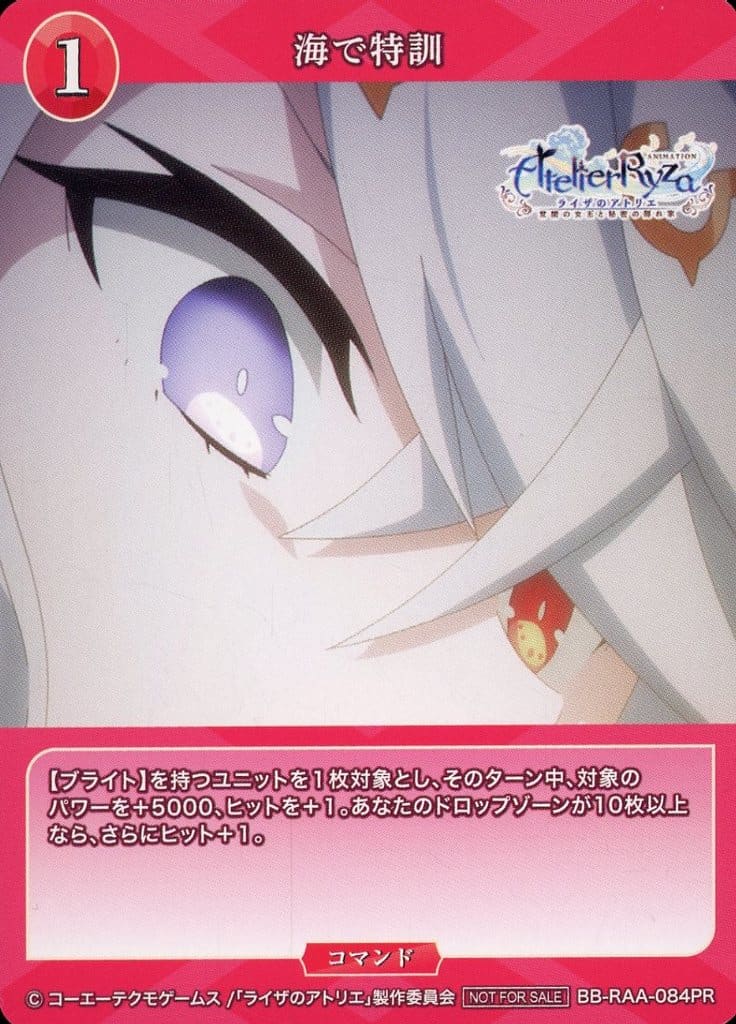 駿河屋 - BB-RAA-084PR[PR]：海で特訓（ビルディバイド）