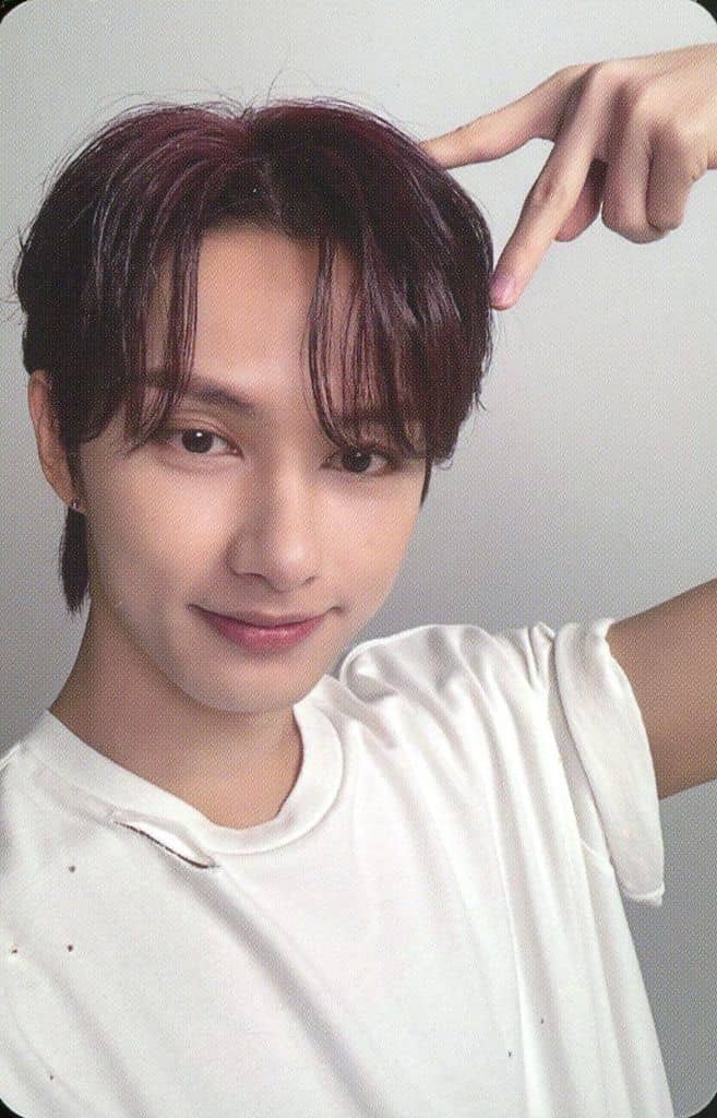 駿河屋 - SEVENTEEN/スングァン(SEUNGKWAN)/CD「17 IS RIGHT HERE」(-DEAR Ver.-)封入 ...