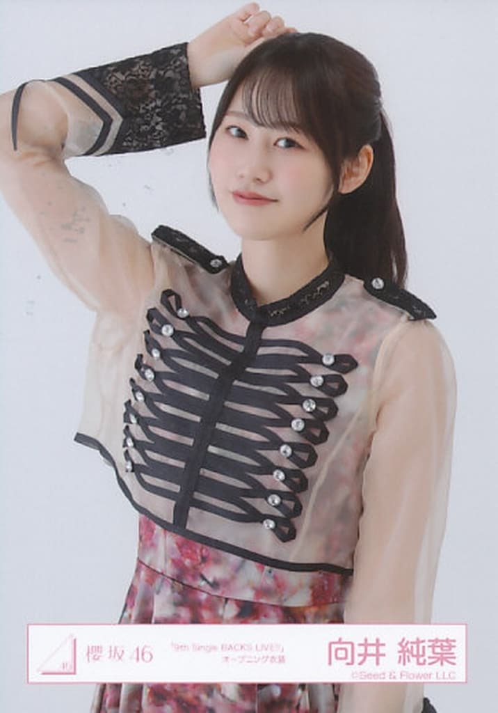 駿河屋 - 向井純葉/上半身/櫻坂46ランダム生写真【「9th Single BACKS LIVE!!」オープニング衣装】（女性生写真）