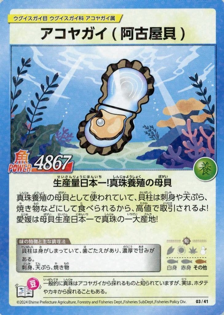 駿河屋 - 03/41[レアカード]：アコヤガイ(阿古屋貝)（公共配布カード）