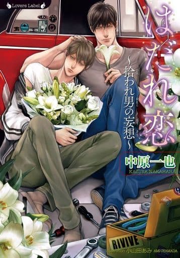 Boys' Love Novels Hadare-Koi : Shukare-Otoko no Bozo Takeshobo Lovers ...