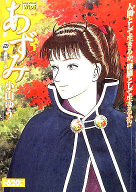 Azumi falconry night (4) My First WIDE | Book | Suruga-ya.com