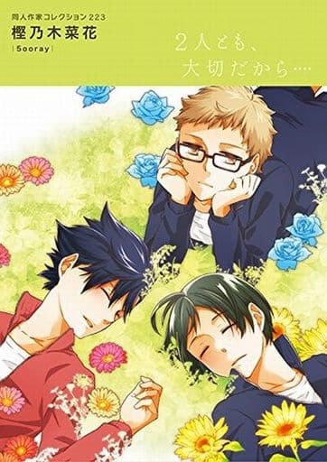 Boy Zurab Comic Haikyu! ) doujin artist Collection 223 POE BACKS doujin ...