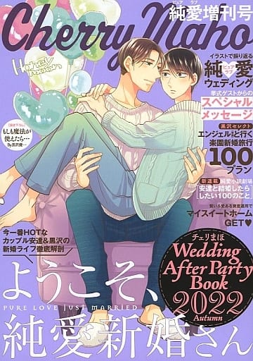 Limited edition comic Junai Wedding After Party-Just married - booklet ...