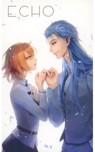 駿河屋 - ECHO / ずぼる （クー・フーリン、ぐだ子） / 穽（ゲーム系）