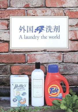 Criticism, consideration and explanation system Foreign detergent A ...