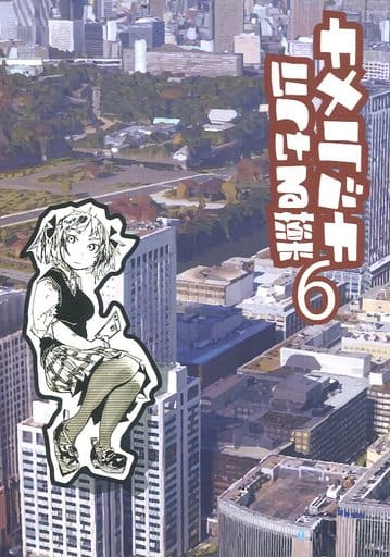 Original Drugs for Camera Fools 6 | Doujin | Suruga-ya.com
