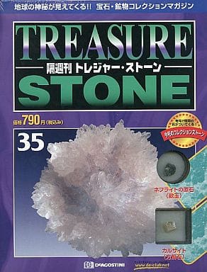 Treasure Stone 35 | Book | Suruga-ya.com