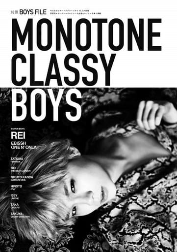 Separate volume BOYS FILE MONOTONE CLASSY BOYS Entertainment | Book ...