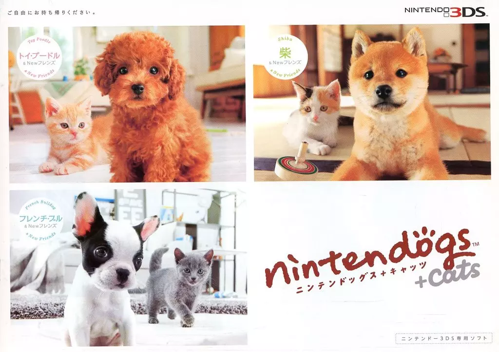 駿河屋 - 3DS Nintendogs+cats フライヤー（漫画・アニメ）