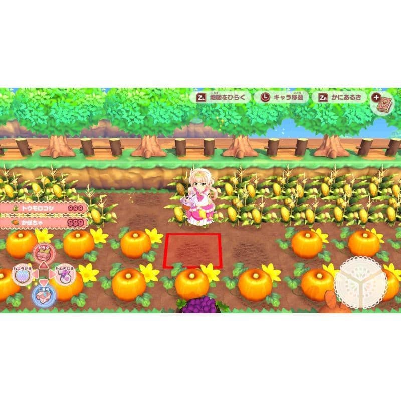 Nintendo Switch Software Pretty Princess Magical Garden Island | Game | Suruga-ya.com