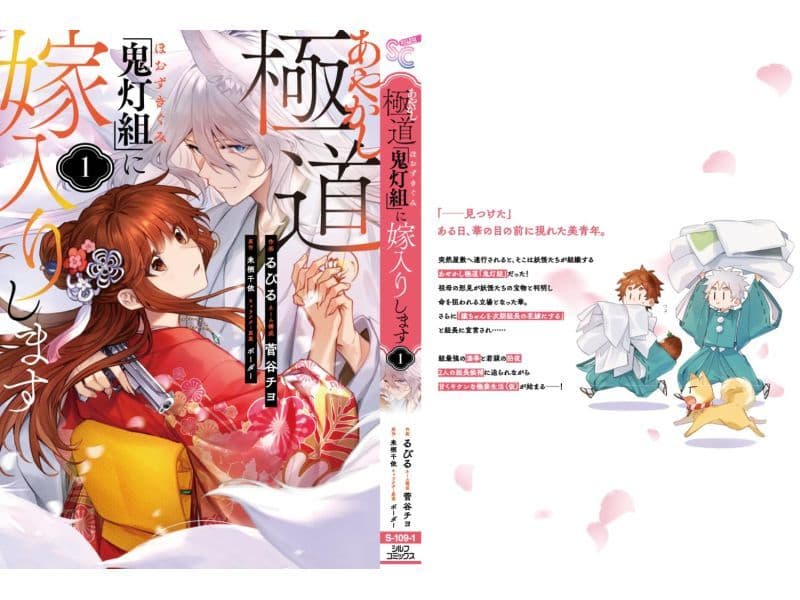 B6 Comics (1) / Rubi-ru Silv Comics | Book | Suruga-ya.com