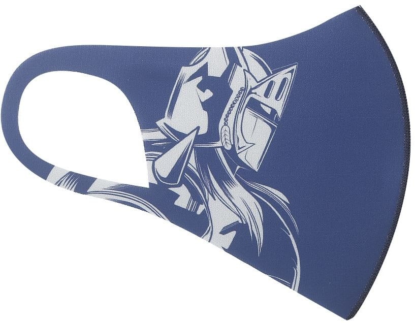 KEVINMASK (Kevin Mask) PROFILE blue CCP x KMA MASK "KINNIKUMAN" | Goods ...