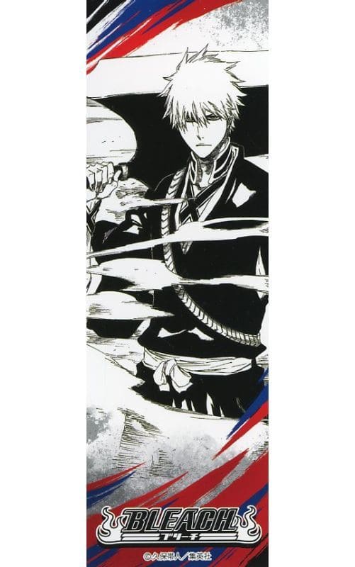 Ichigo KUROSAKI Ticket File (with special bookmark)' Bleach - Bleach ...