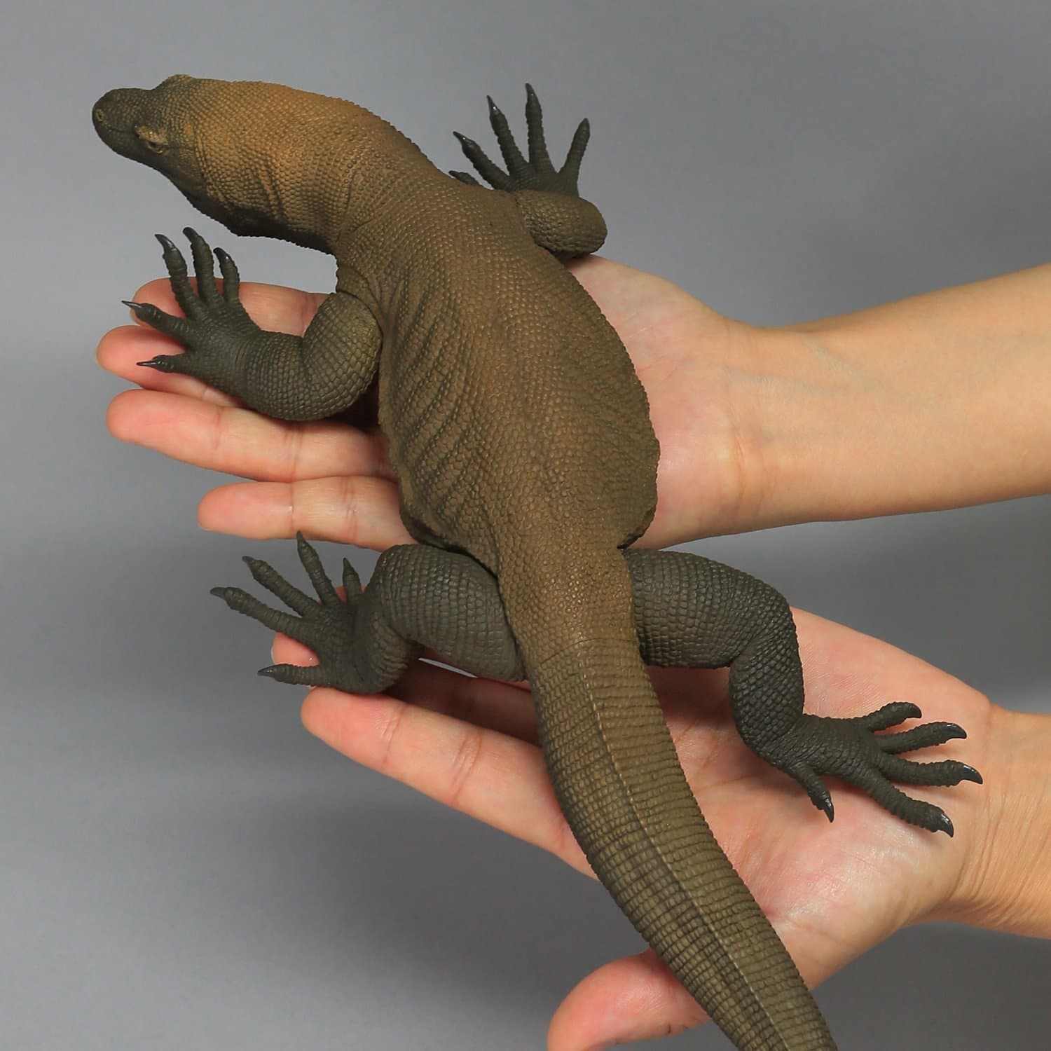 Sofvi Toybox Corporation 005 Komodo Dragon (Komodo dragon) | Toy Hobby ...