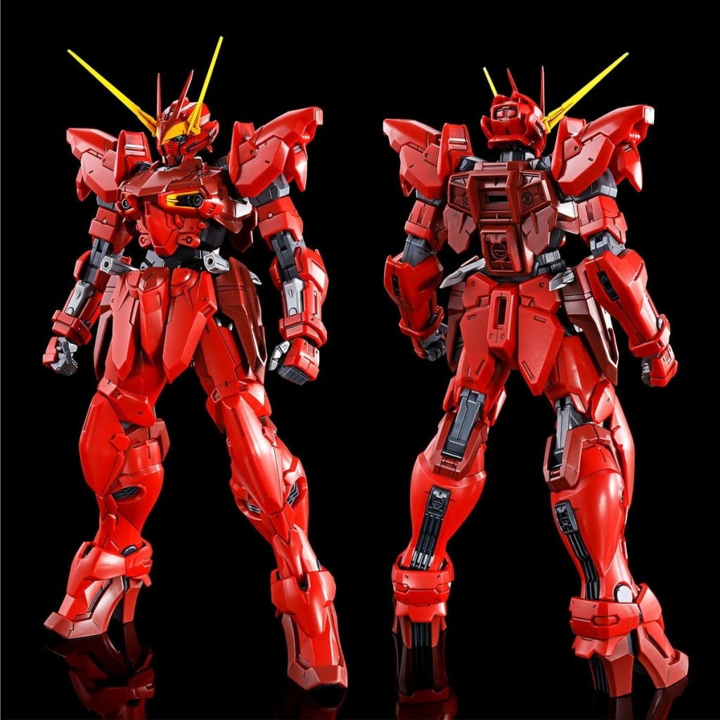 1 100 MG ZGMF X12A RGX 00 Testament Gundam MOBILE SUIT GUNDAM SEED 1-100-mg-zgmf-x12a-rgx-00-testament-gundam-mobile-suit-gundam-seed