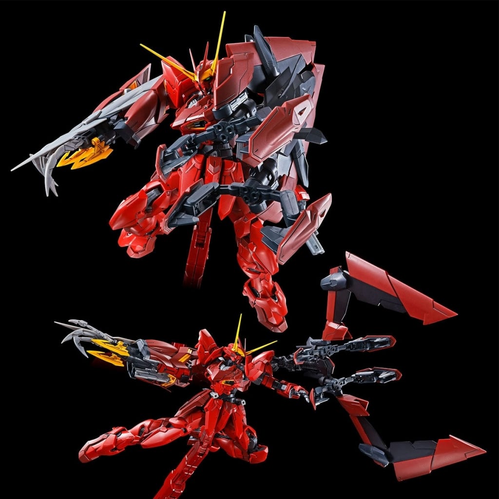 1/100 MG ZGMF-X12A/RGX-00 Testament Gundam 「 MOBILE SUIT GUNDAM SEED ...