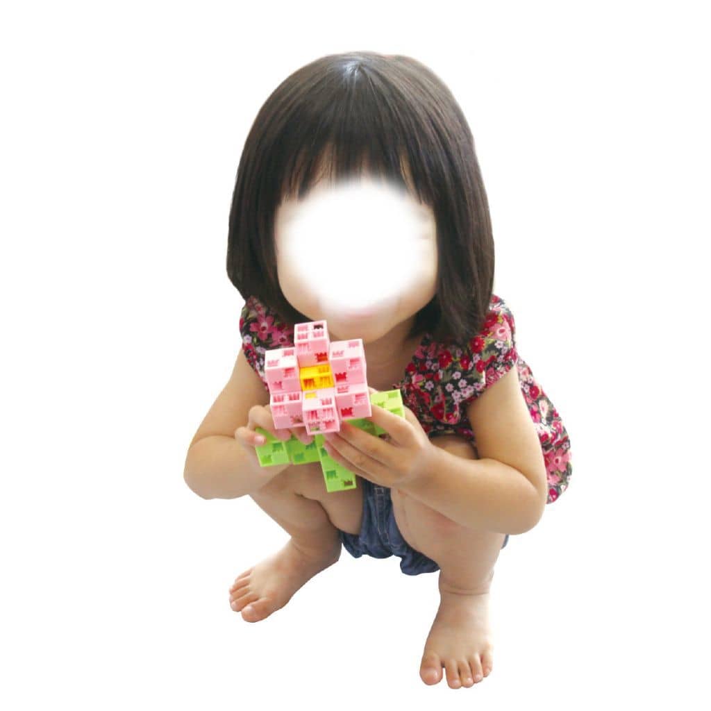 Block Head Rose Pink | Toy Hobby | Suruga-ya.com