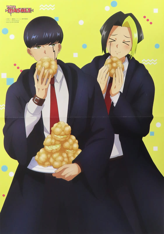 Poster Double-sided A3 Pinup Poster (folded in two) Mash Burned & Fin ...