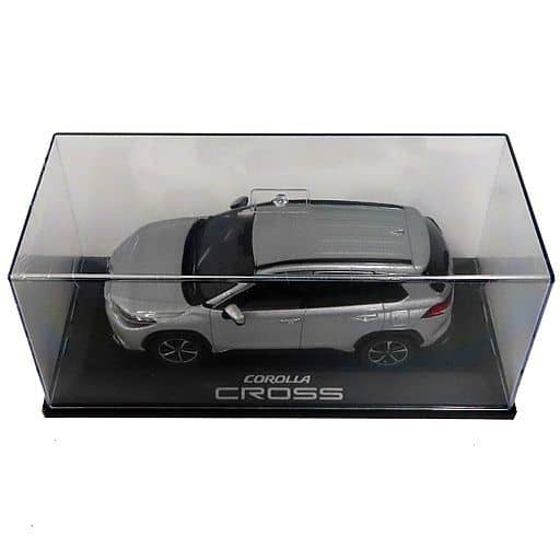 1/30 Toyota Corolla Cloth (Silver Metallic) Display Model for Color ...