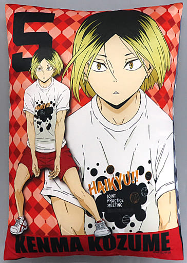 Cushion, body pillow, body Kuro Tetsuro & Kozume Kenma Cushion 2020 ...