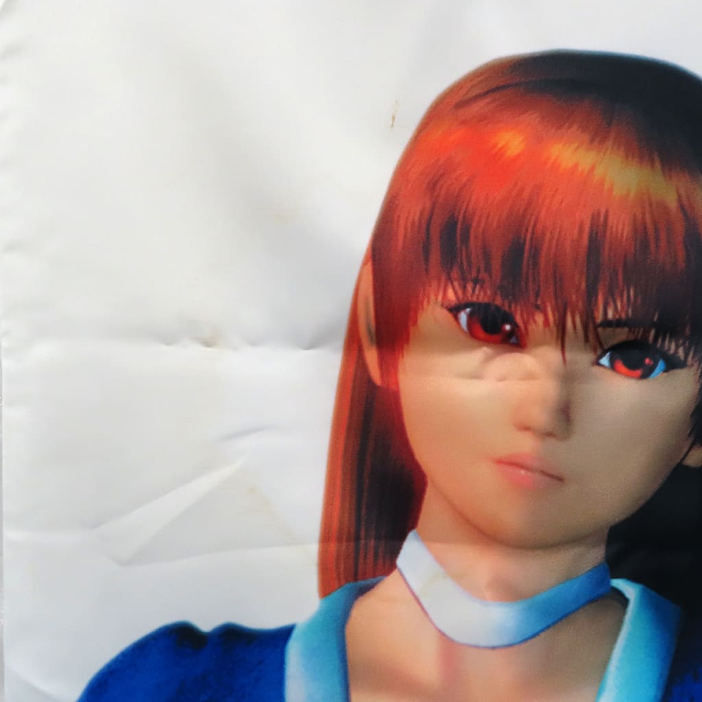 [Damaged Item / Single Item] Kasumi's cushion cover (body pillow cover ...