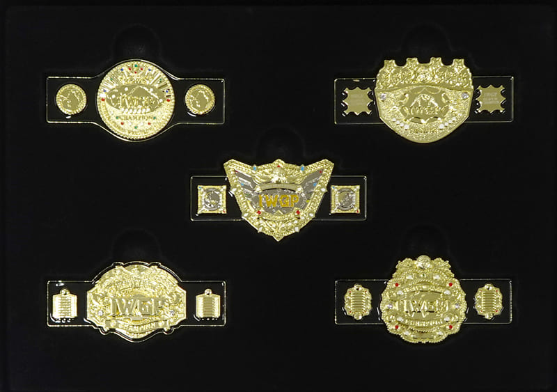 New Japan Pro-Wrestling IWGP Champion Belt Pins 5-Pack Set | Goods ...