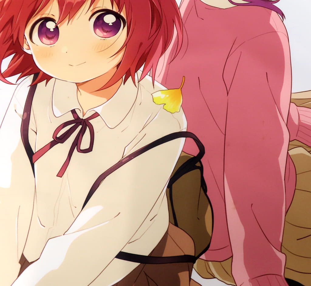 [Damaged Items] Akari & Ayano B2 Tapestry "Comic Yuru Yuri Volume 17 & Yuriyuri Volume 2 ...