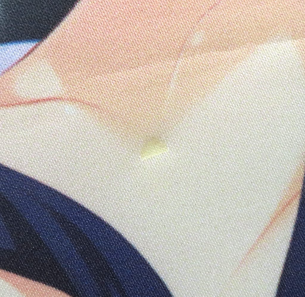 [Damaged item] B2 Tapestry drawn by Wako Izumi "PS Vita Soft LOVELY×CATION 1 & 2" Sofmap ...