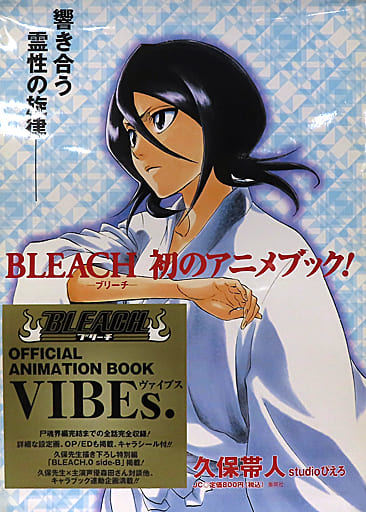 Ichigo Kurosaki / Kutsuki Rukia B3 promotional Tapestry "Bleach ...