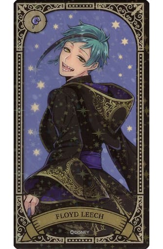 Floyd Leech Card Set Hologram (5 Visual Alucard & 6 Protective Film Set ...