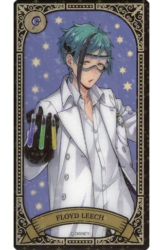 Floyd Leech Card Set Hologram (5 Visual Alucard & 6 Protective Film Set ...