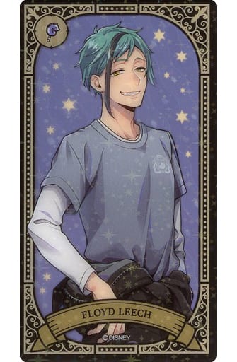 Floyd Leech Card Set Hologram (5 Visual Alucard & 6 Protective Film Set ...