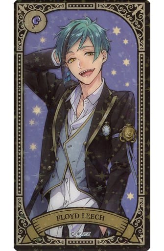 Floyd Leech Card Set Hologram (5 Visual Alucard & 6 Protective Film Set ...