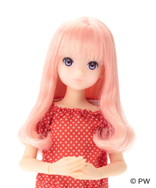 Dole Fresh ruruko 1605 「 ruruko - Ruruko - 」 | Toy Hobby | Suruga-ya.com