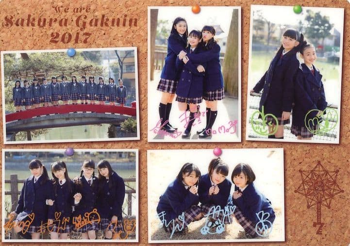Underlay Sakura Gakuin B5 The Road to Graduation 2017 Shitajiki 「 The ...
